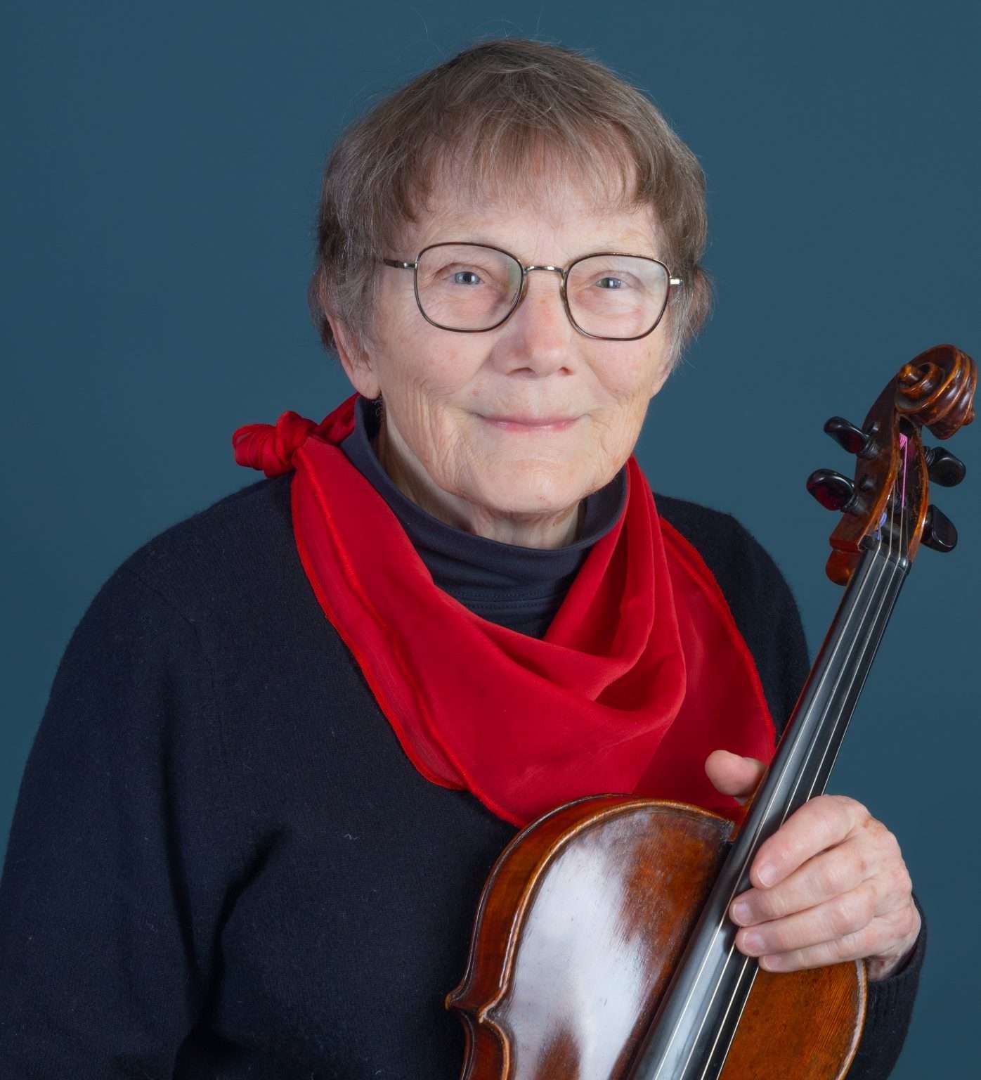 Meet The Orchestra - Great Lakes Chamber Orchestra